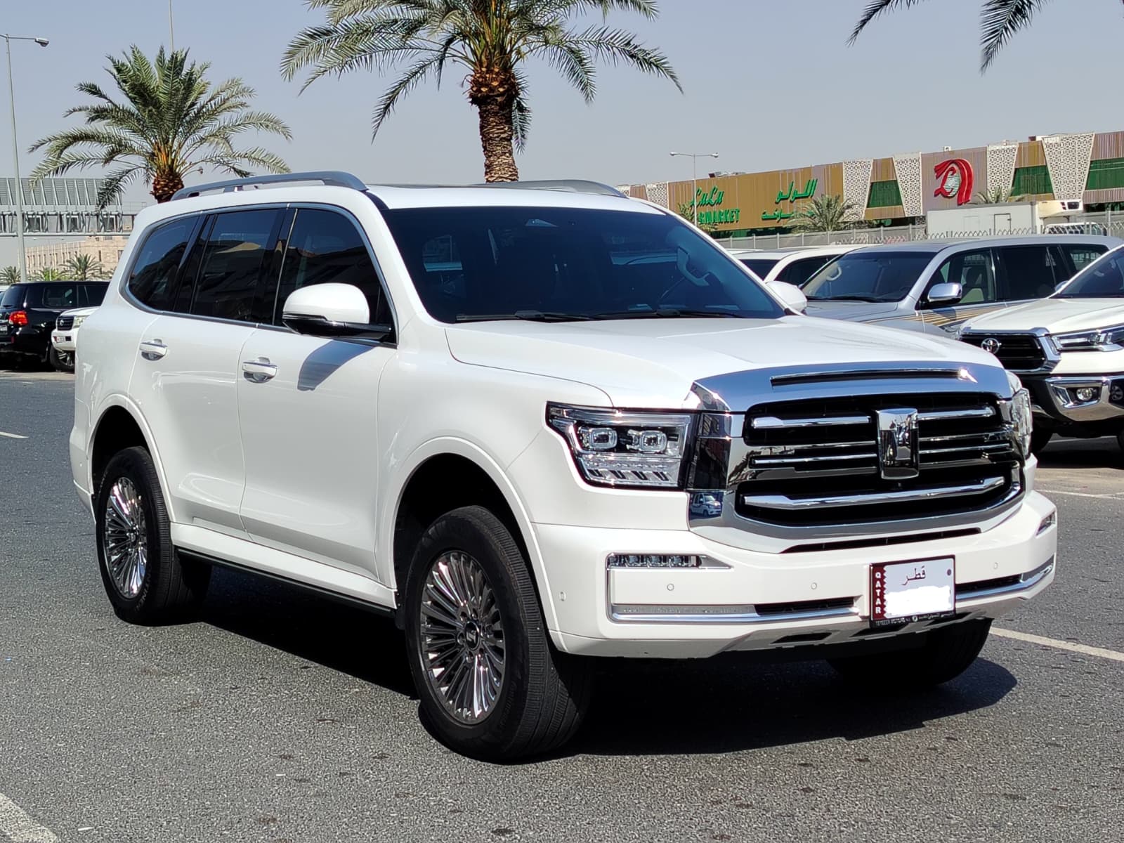 Gwm for Sale in Qatar - QMotor